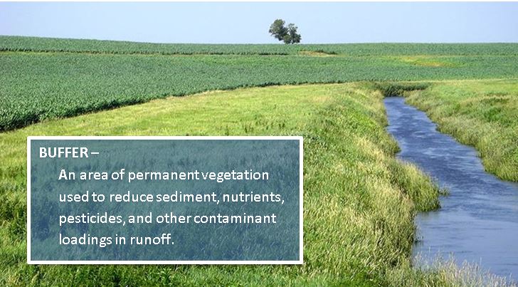 Buffer Strips: The last ditch effort for conservation? | Precision ...