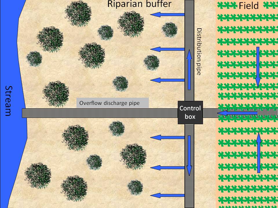 Saturated Buffers Precision Conservation